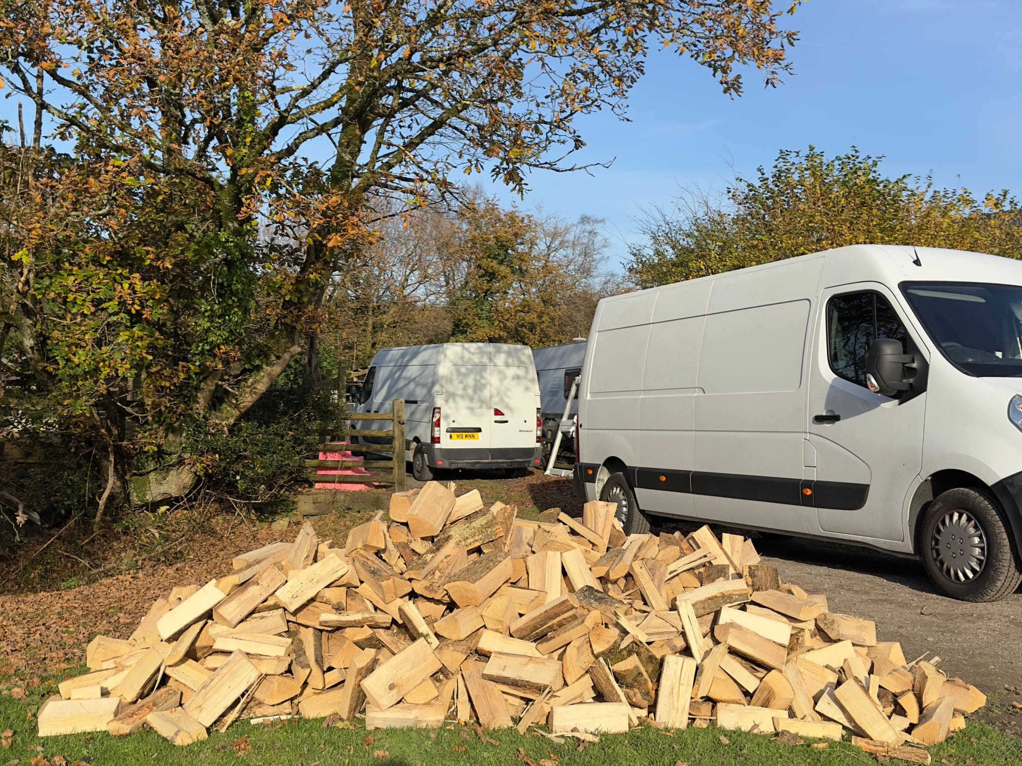 What is the best type of firewood to burn within your home? - Firewood ...